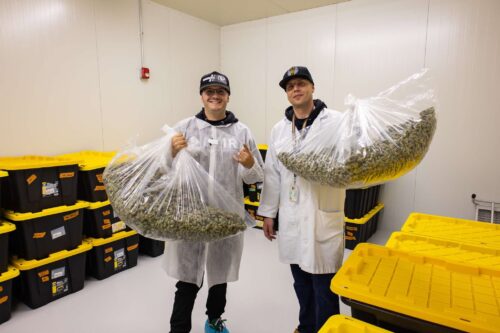 Small Batch, Big Flavor: Inside Redemption Botanicals' Craft Cannabis