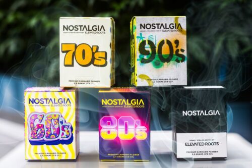 Behind-the-Scenes of Elevated Roots and Nostalgia