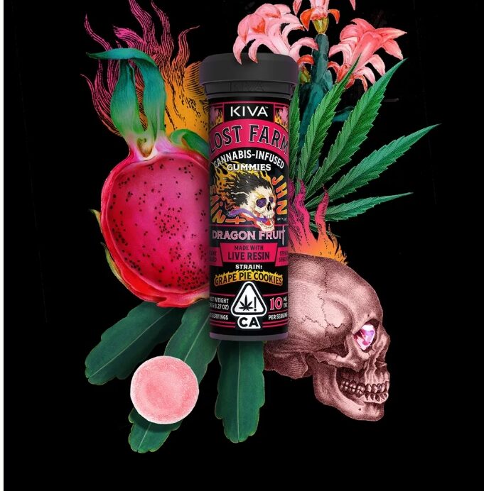 The Best Cannabis Edibles You Need to Try in 2025