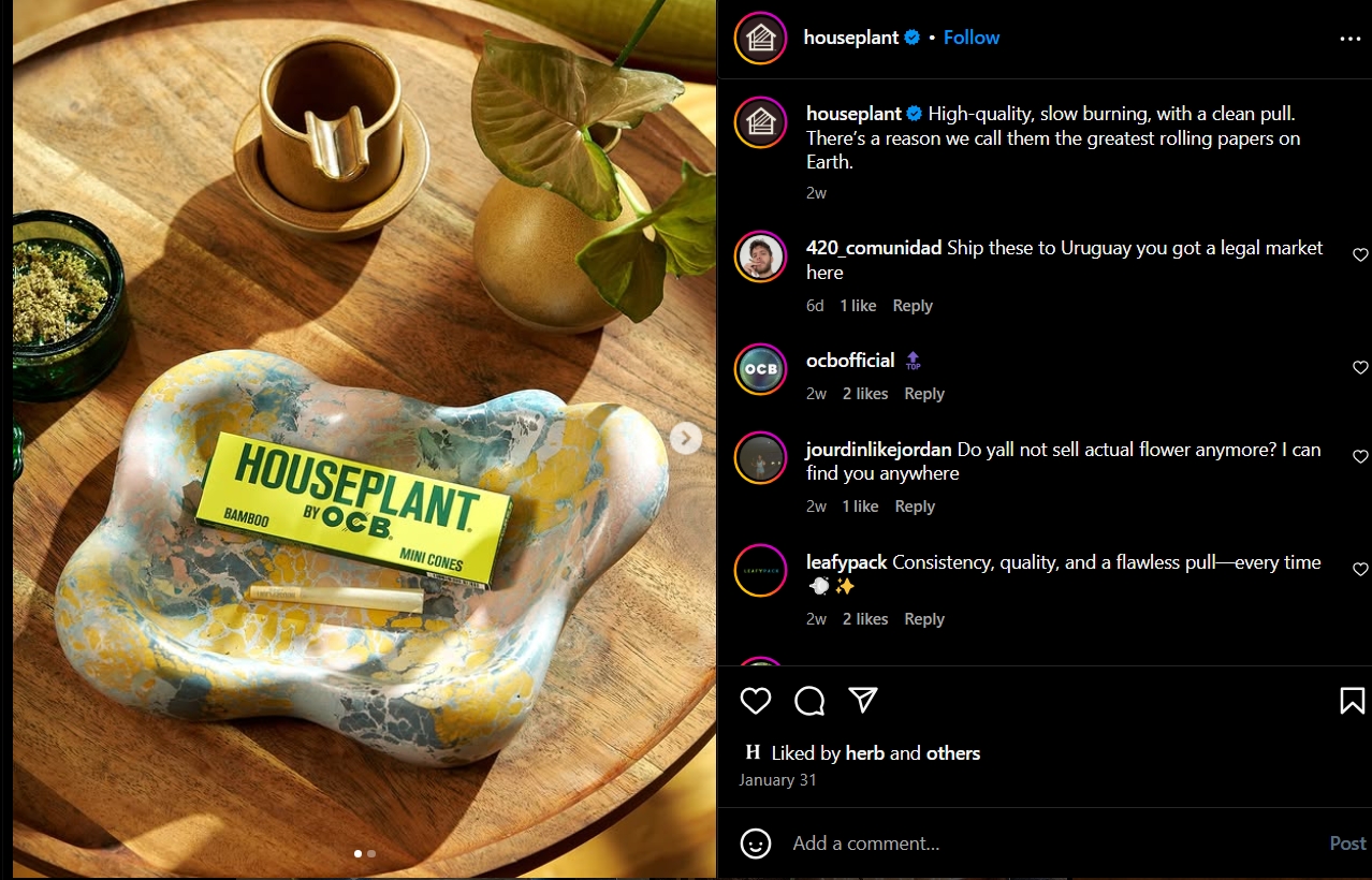 Celebrity-Owned Cannabis Brands Dominating the Industry in 2025